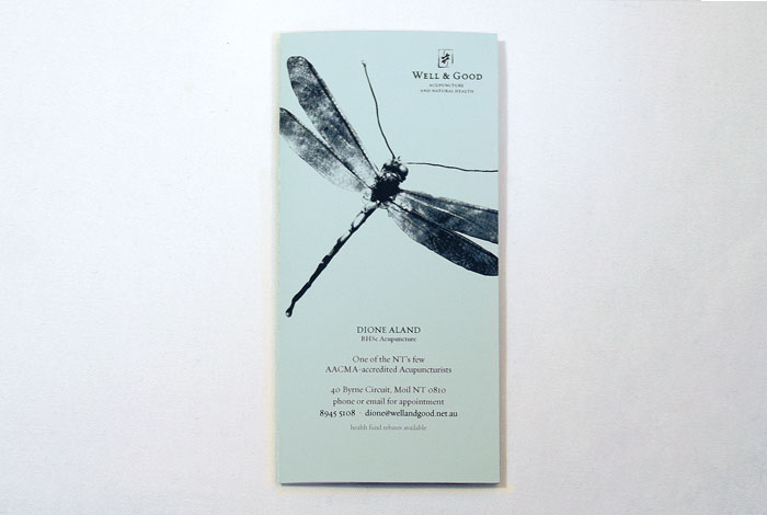 Sofia Lyn Personal Portfolio