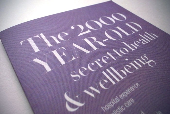 Sofia Lyn Personal Portfolio